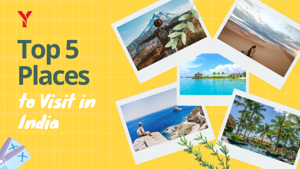 Top 5 Tourist Places in India – Must-Visit Destinations & Travel Guide ...